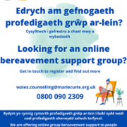 Bereavement Online Group Poster.png - Cardiff and Vale University ...