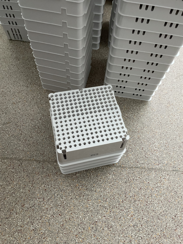 Pic 3 - Cwm Taf Morgannwg University Health Board