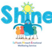 SHINE - Cwm Taf Morgannwg University Health Board