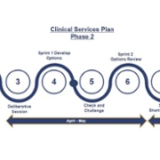 CSP Revised graphic august 2024 - Hywel Dda University Health Board