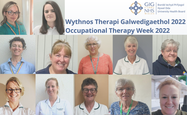 Lift up your every day this Occupational Therapy Week - Hywel Dda ...
