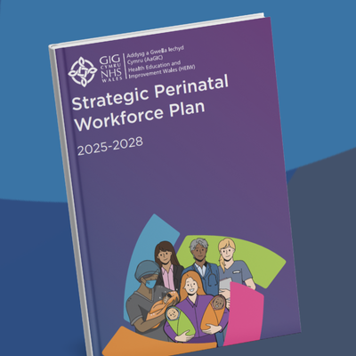 HEIW launch the first Strategic Perinatal Workforce Plan for Wales - HEIW