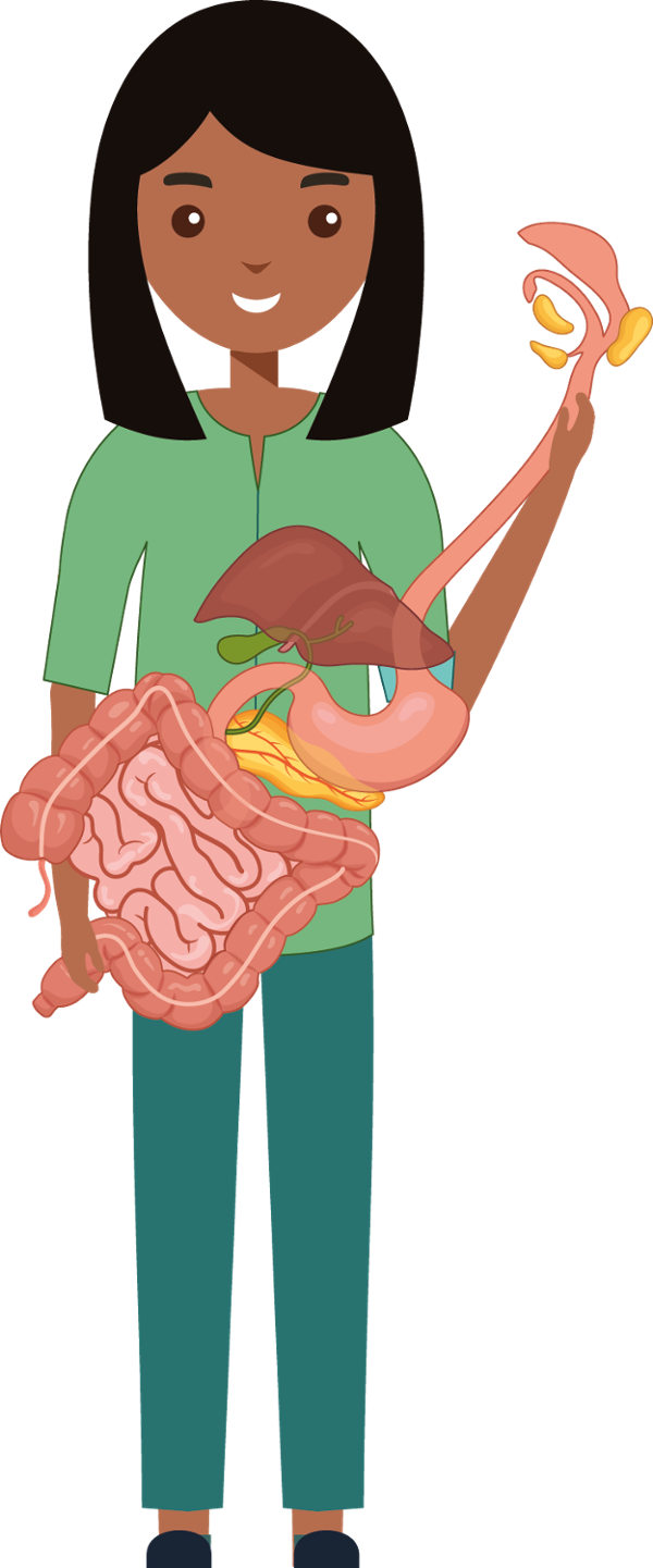 Gastrointestinal Physiology - HEIW