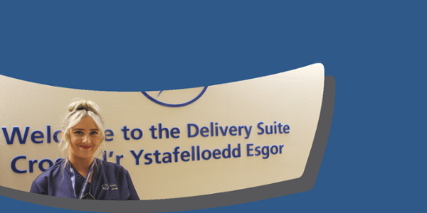 Labour Ward Coordinator Framework - HEIW