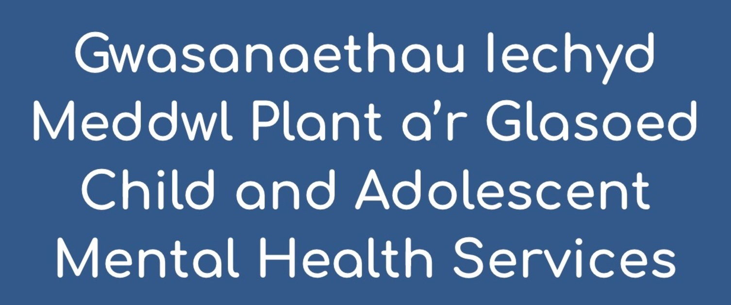 Your Local Child and Adolescent Mental Health Service (CAMHS) - Powys ...