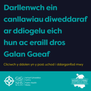 Spider_Welsh.gif - Public Health Wales