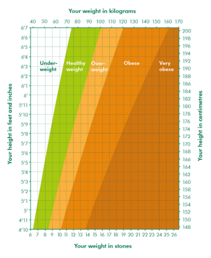BMI chart jpg Velindre University NHS Trust BMI chart jpg Velindre University NHS Trust