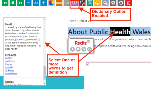 Understanding Recite Me - CMS Support