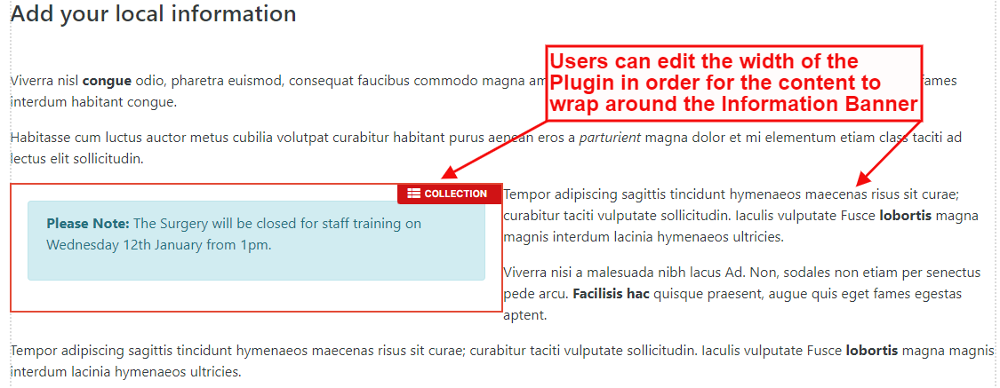 Information Banner - CMS Support