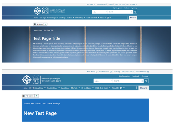 Header Panel 2 Overview - CMS Support