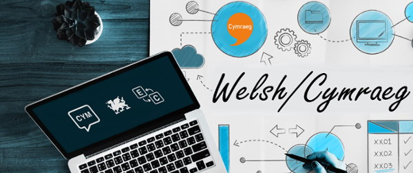 Your Welsh Site - CMS Support