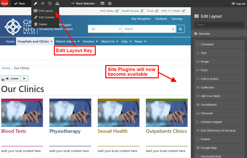 How to Edit - CMS Support